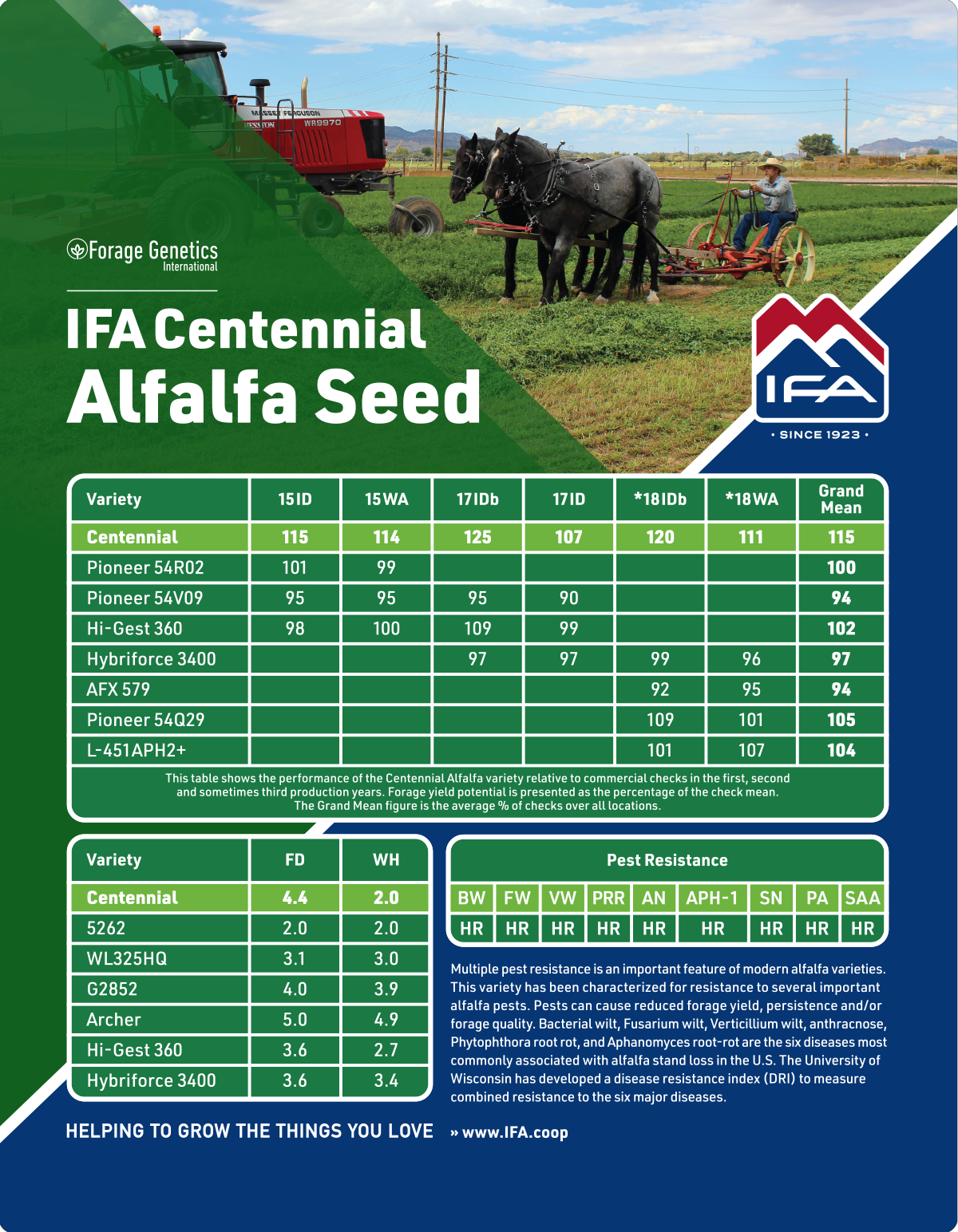 Alfalfa Seed Selection| IFA’s Helping to Grow Blog